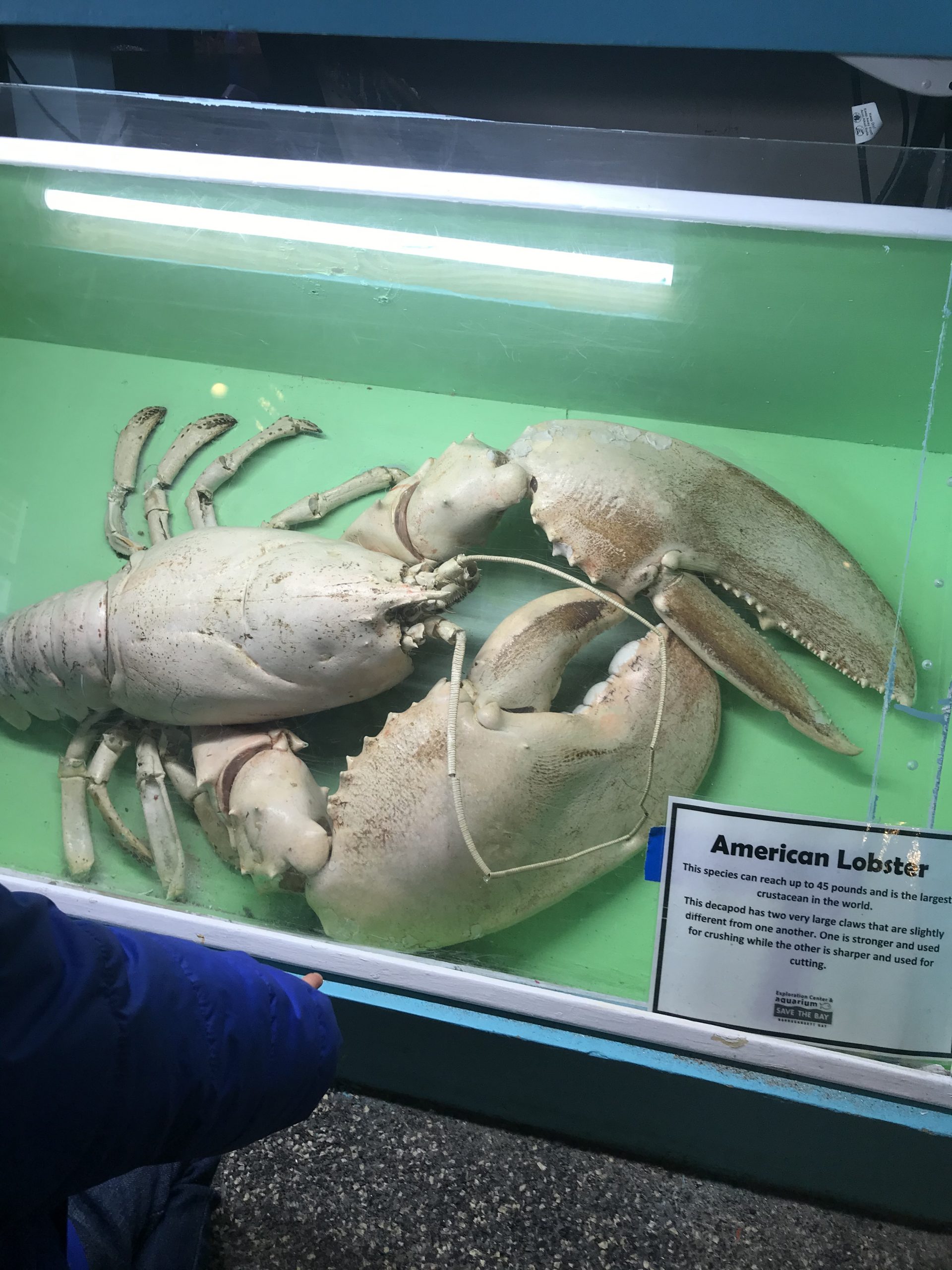 Save The Bay Exploration Center Aquarium - Activities in New England ...
