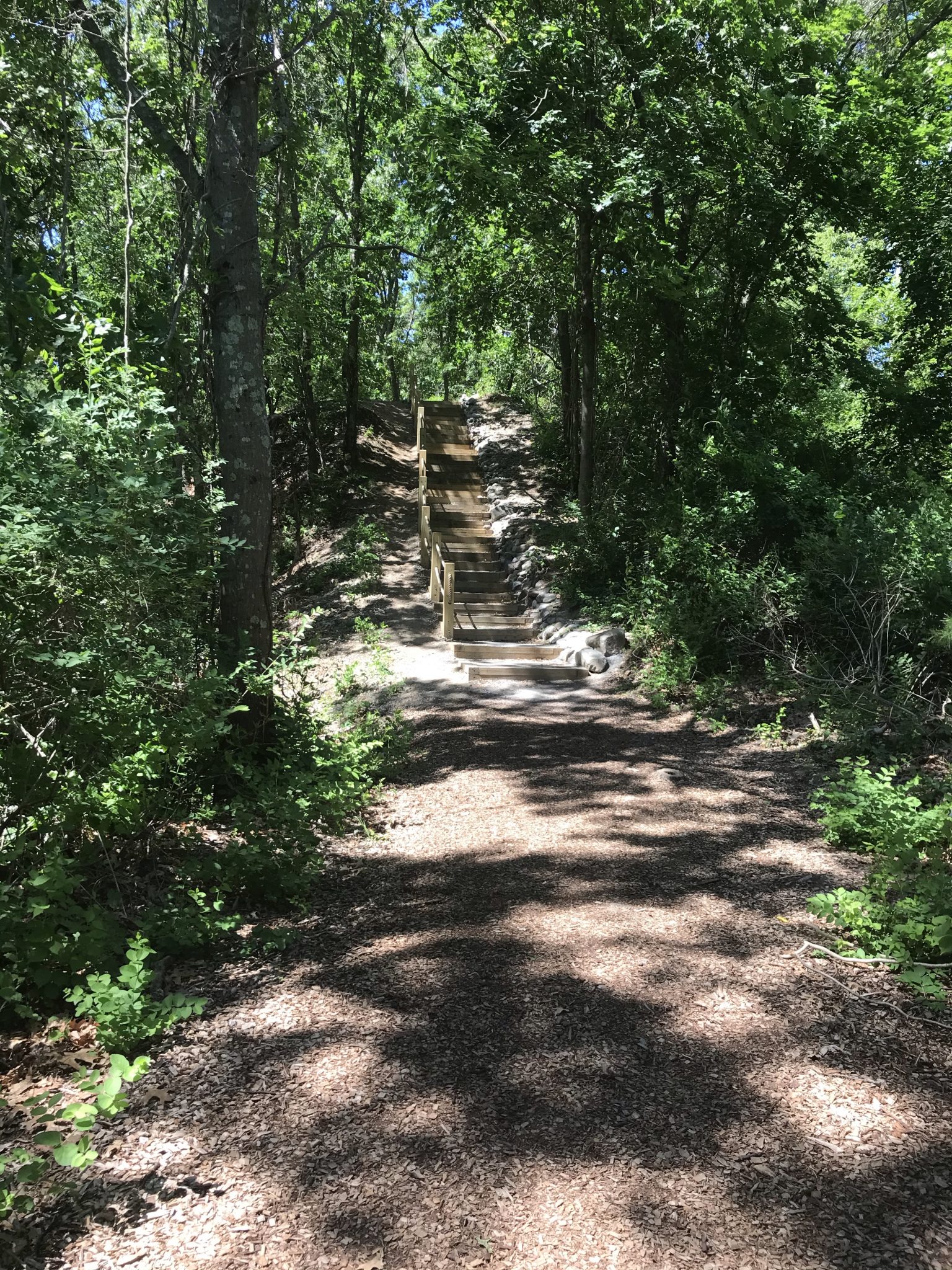 Gammino Pond - Activities in New England for Young Kids
