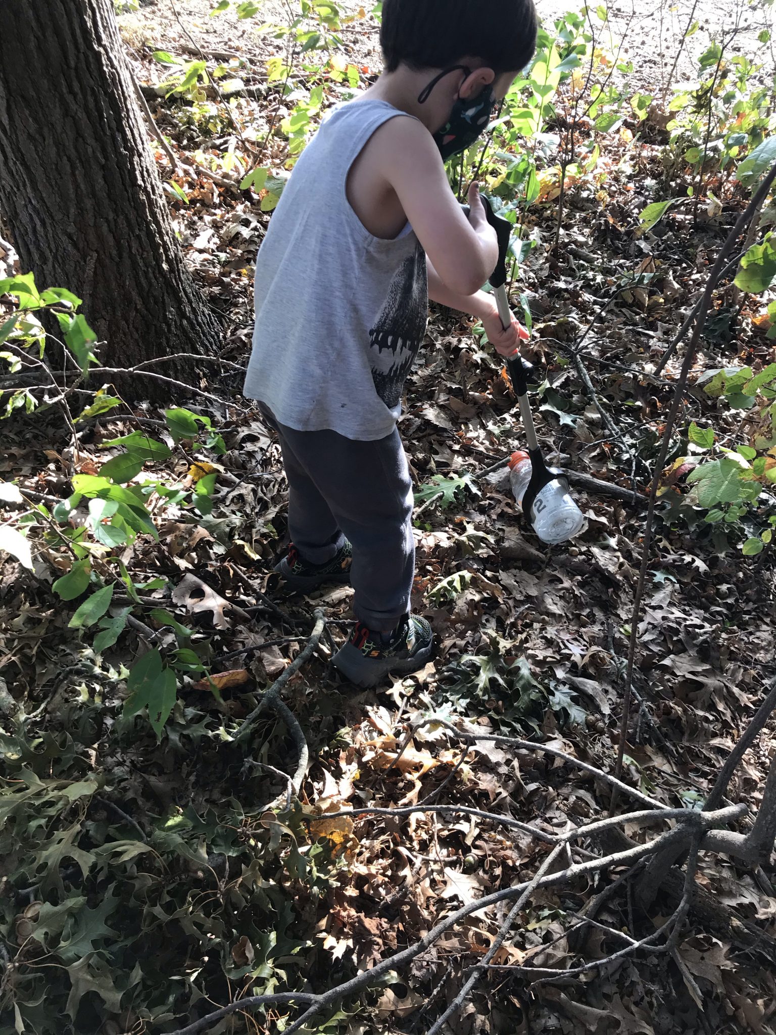 Ryan Park - Activities in New England for Young Kids
