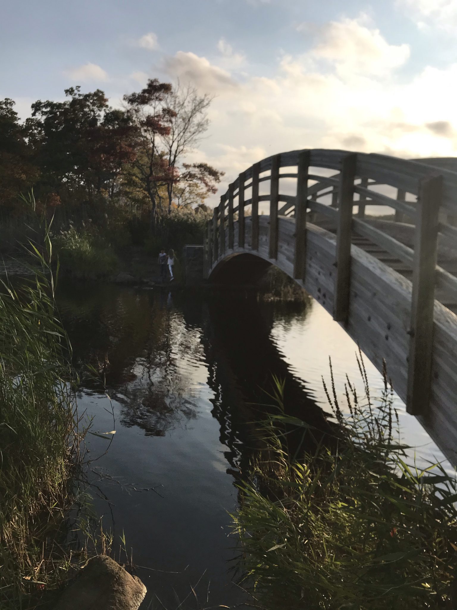 Ryan Park - Activities in New England for Young Kids