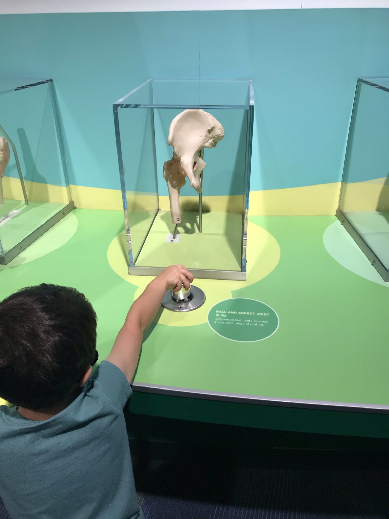 Connecticut Science Center - Activities in New England for Young Kids