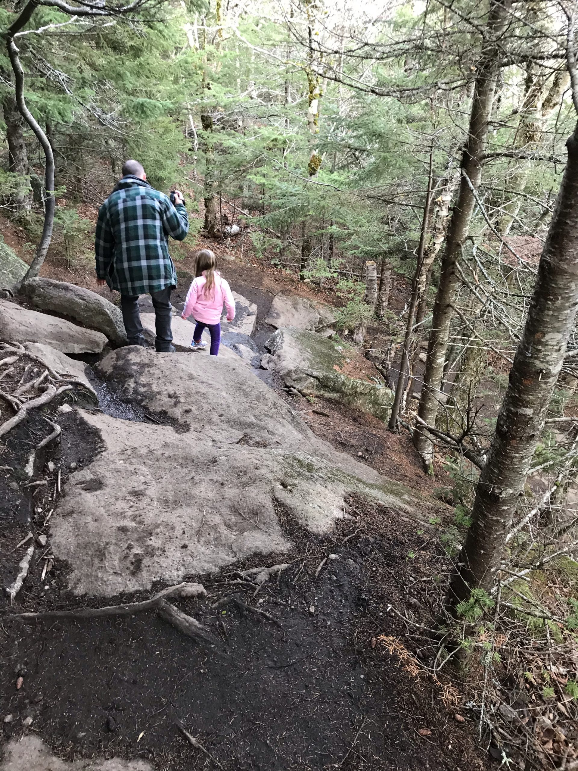 Artist Bluff - Activities in New England for Young Kids