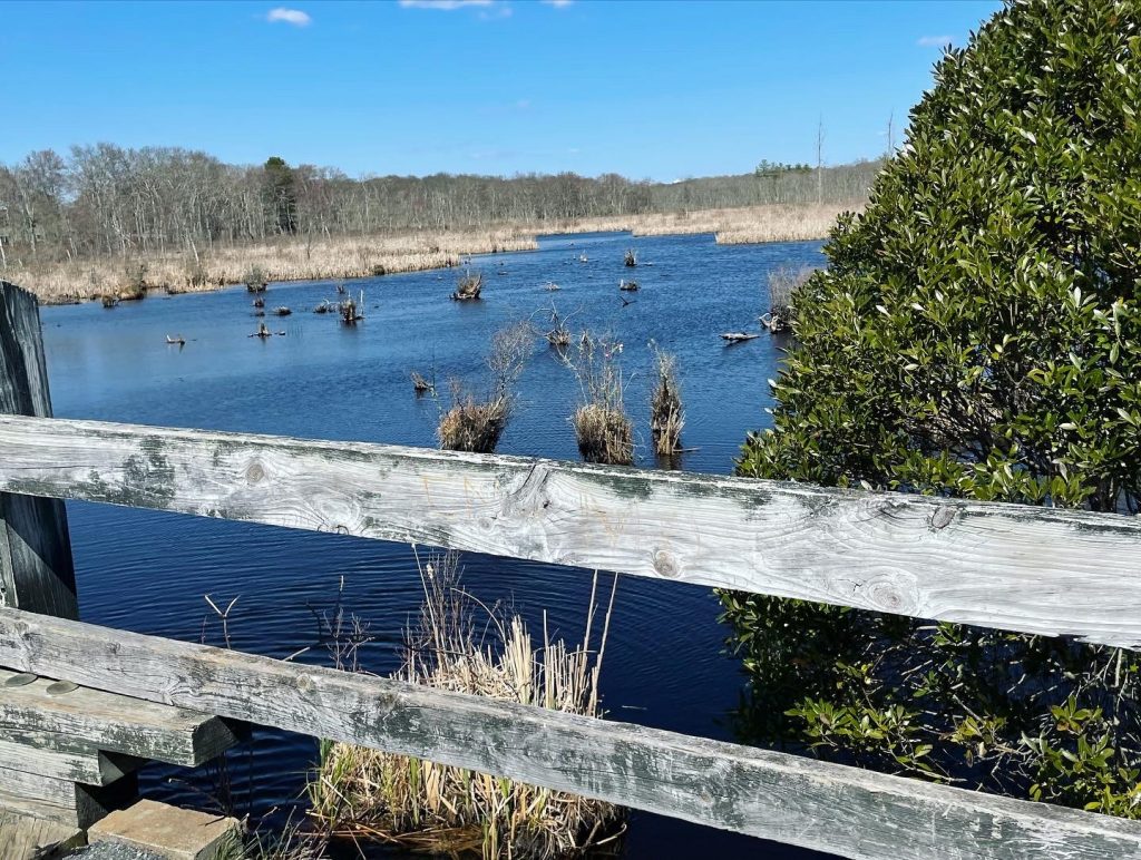 South County Bike Path - Activities in New England for Young Kids