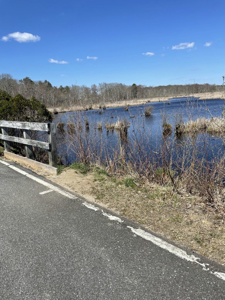 South County Bike Path - Activities in New England for Young Kids