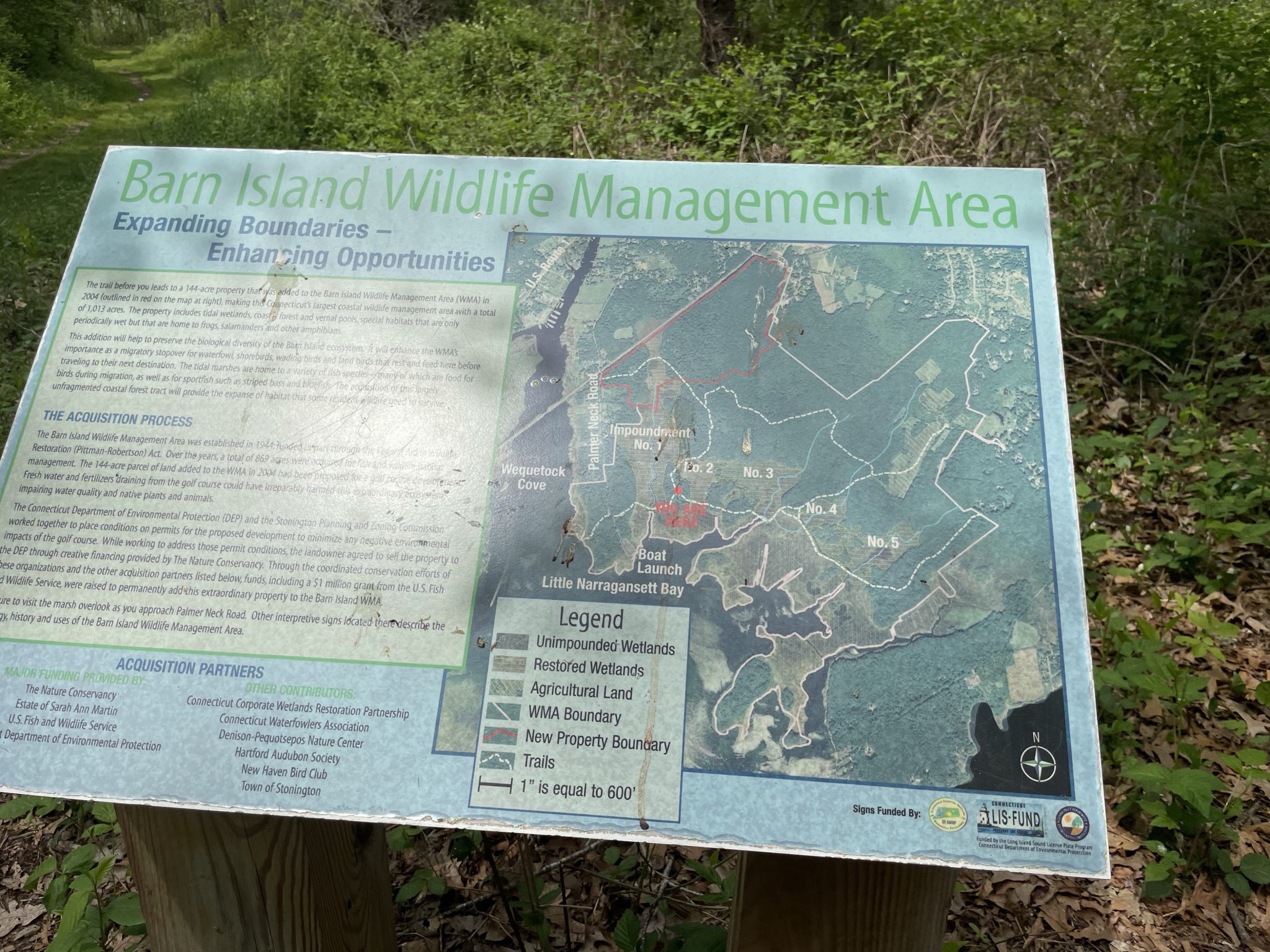 Barn Island Wildlife Management Area - Activities in New England for ...