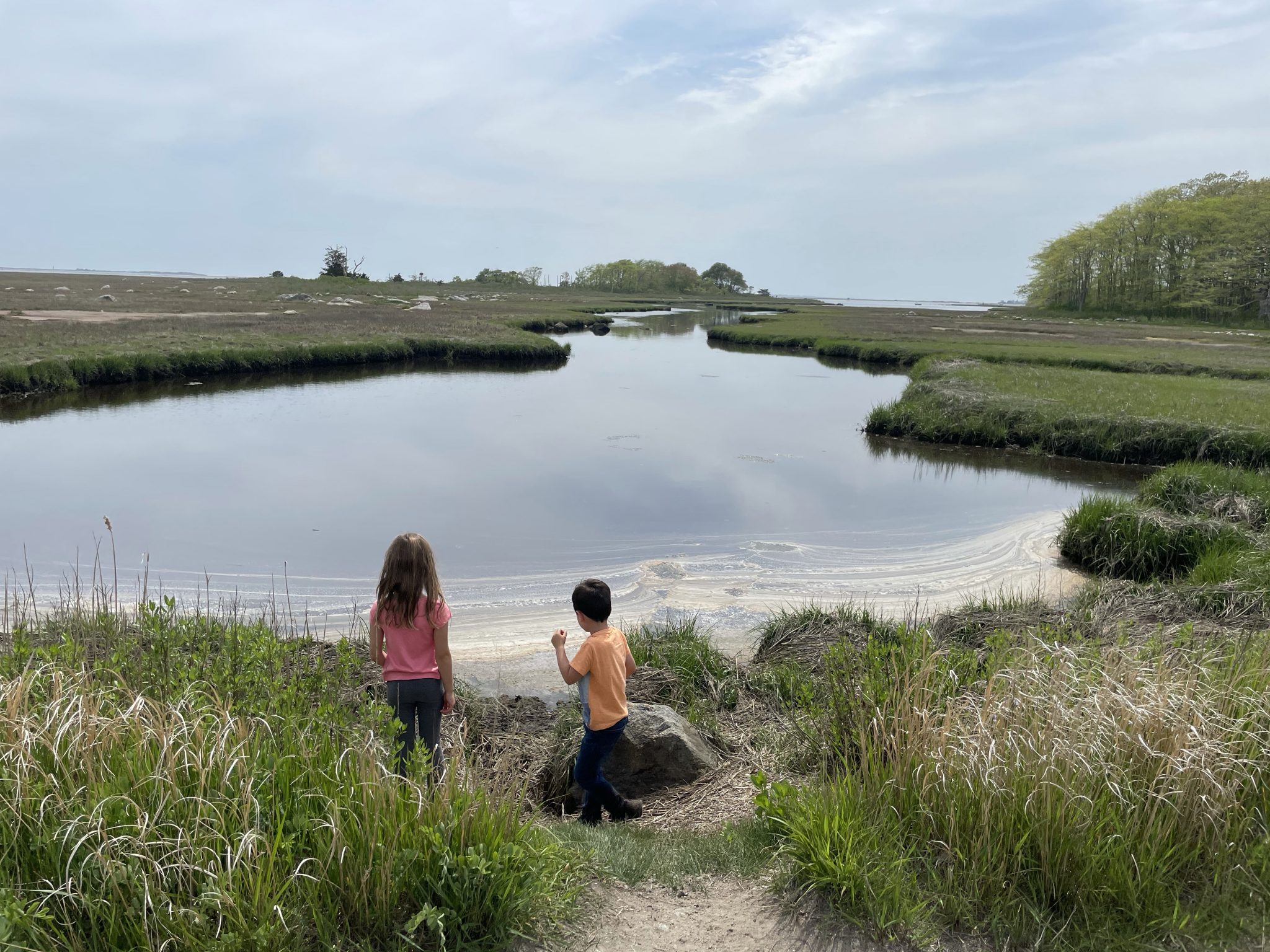 Barn Island Wildlife Management Area - Activities in New England for ...