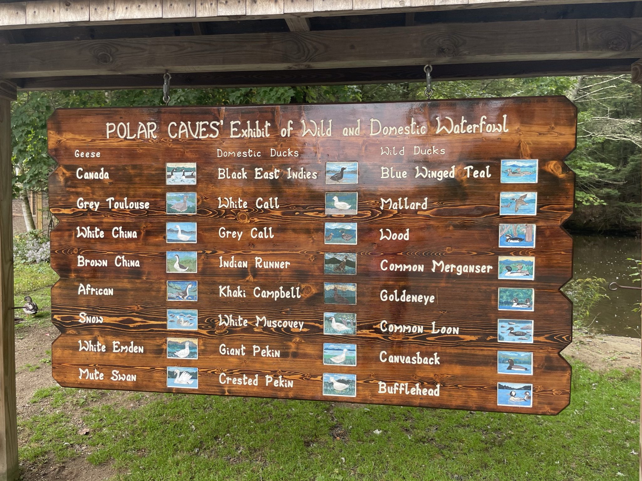Polar Caves - Activities in New England for Young Kids