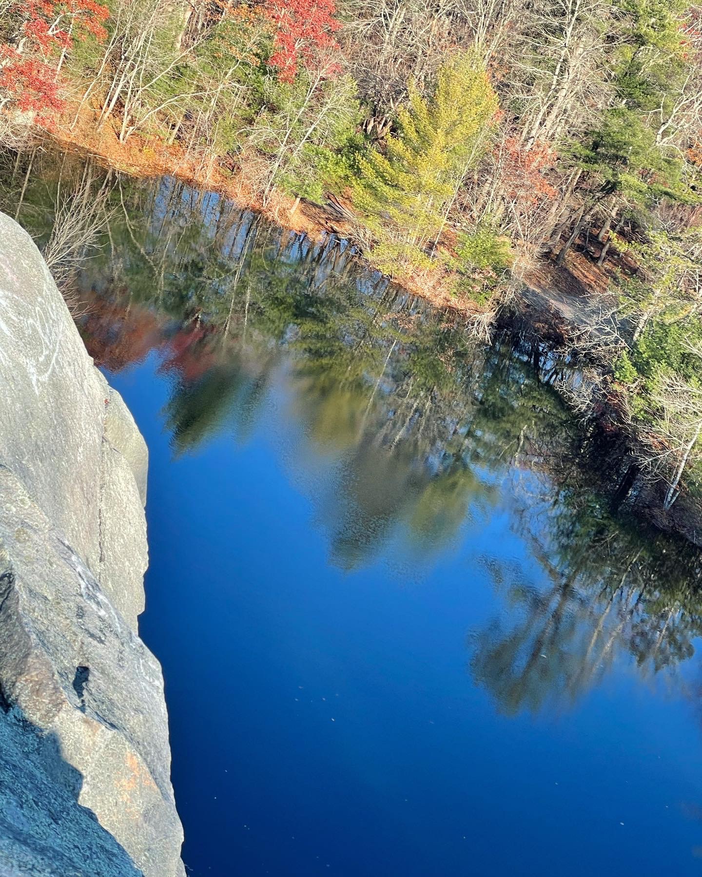 Freetown Fall River State Forest - Activities in New England for Young Kids