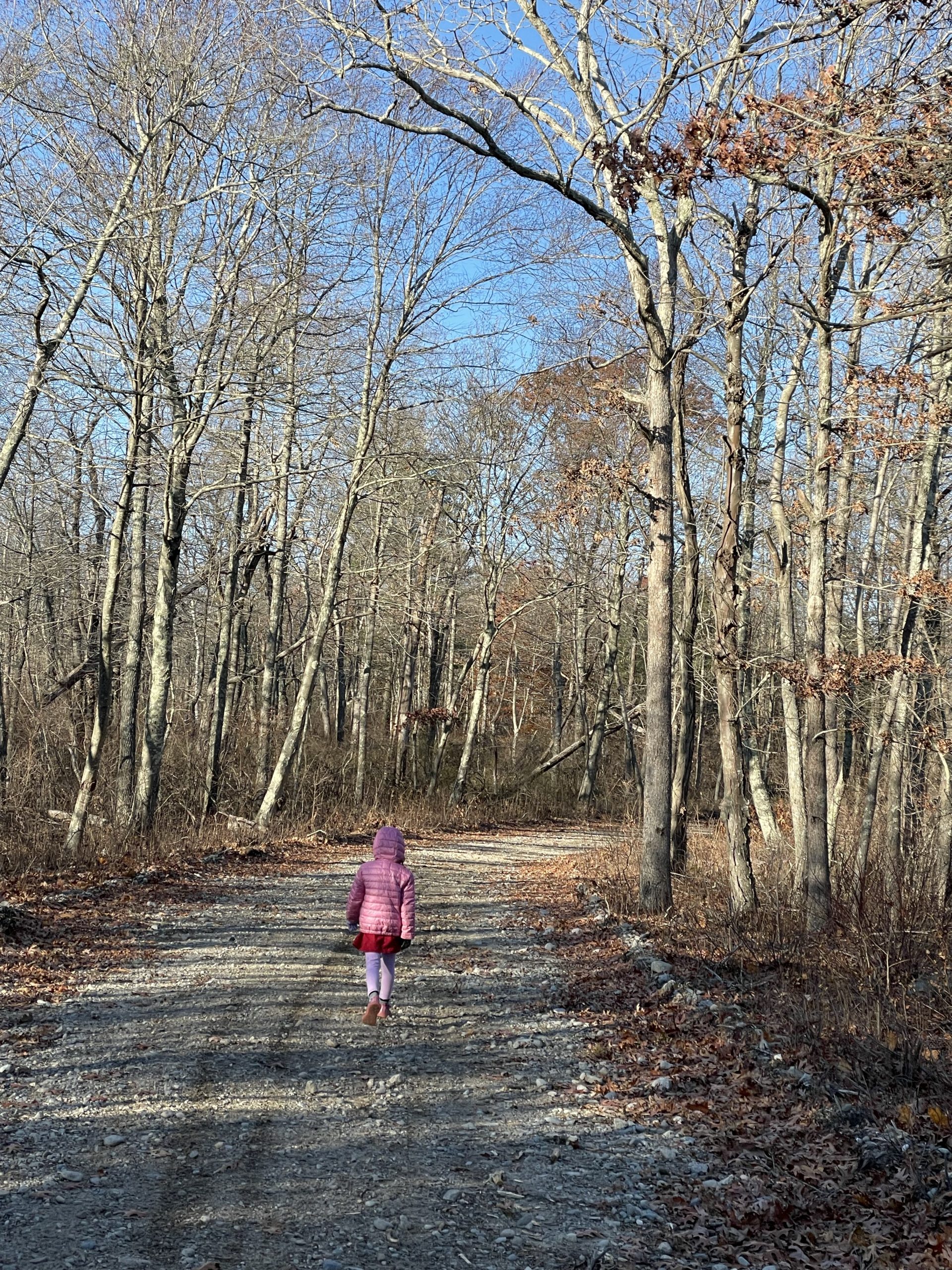 Freetown Fall River State Forest - Activities in New England for Young Kids